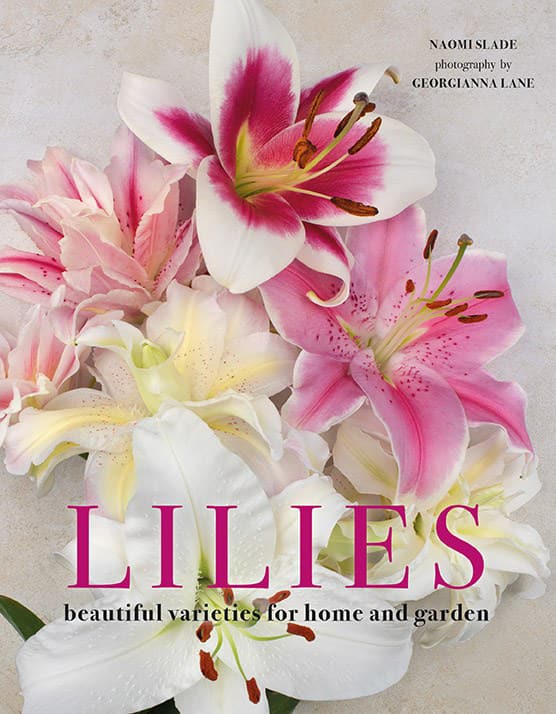Lilies – McIntosh Cottage Antiques